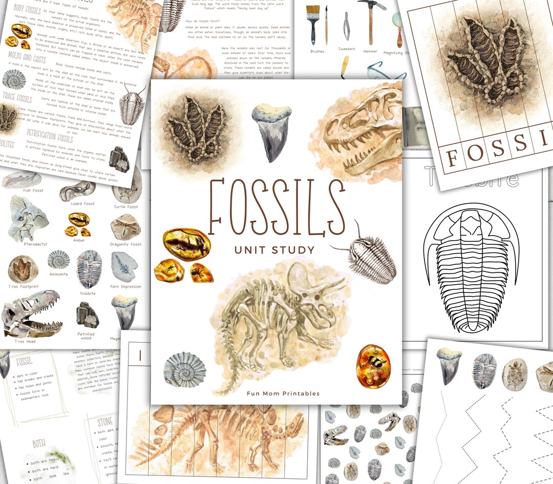 FOSSILS Unit Study, Anatomy, Nature Study, Science, Handwriting ...