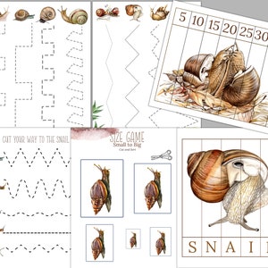SNAIL Unit Study, Life Cycle, Anatomy, Nature Study, Science ...