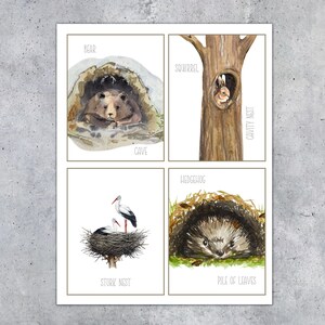 ANIMAL HOMES Flashcards and Matching Activity, Instant Download - Etsy