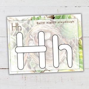 LETTER of the WEEK, H is for Hatchling, Letter H Activities, Alphabet ...