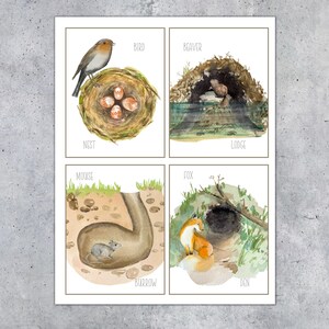 ANIMAL HOMES Flashcards and Matching Activity, Instant Download - Etsy