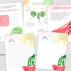 WATERMELON Unit Study, Life Cycle, Anatomy, Nature Study, Science ...