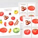 TOMATO Unit Study, Life Cycle, Anatomy, Nature Study, Science ...