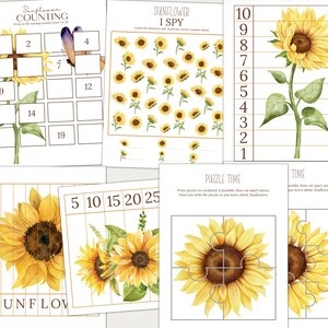 SUNFLOWER Unit Study, Life Cycle, Anatomy, Nature Study, Science ...