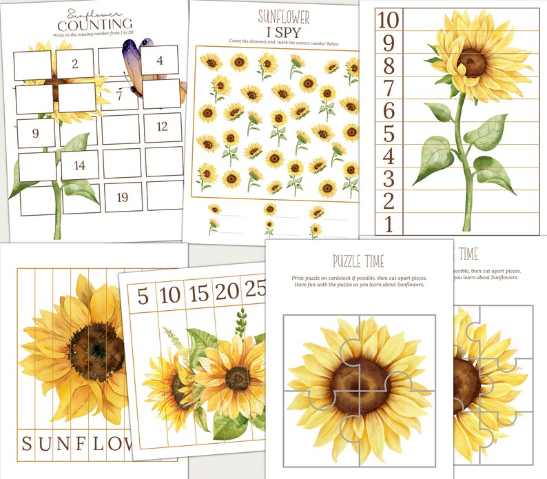 SUNFLOWER Unit Study Life Cycle Anatomy Nature Study - Etsy