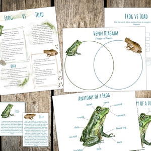 POND Unit Study Animals and Plants Unit Life Cycle Anatomy - Etsy