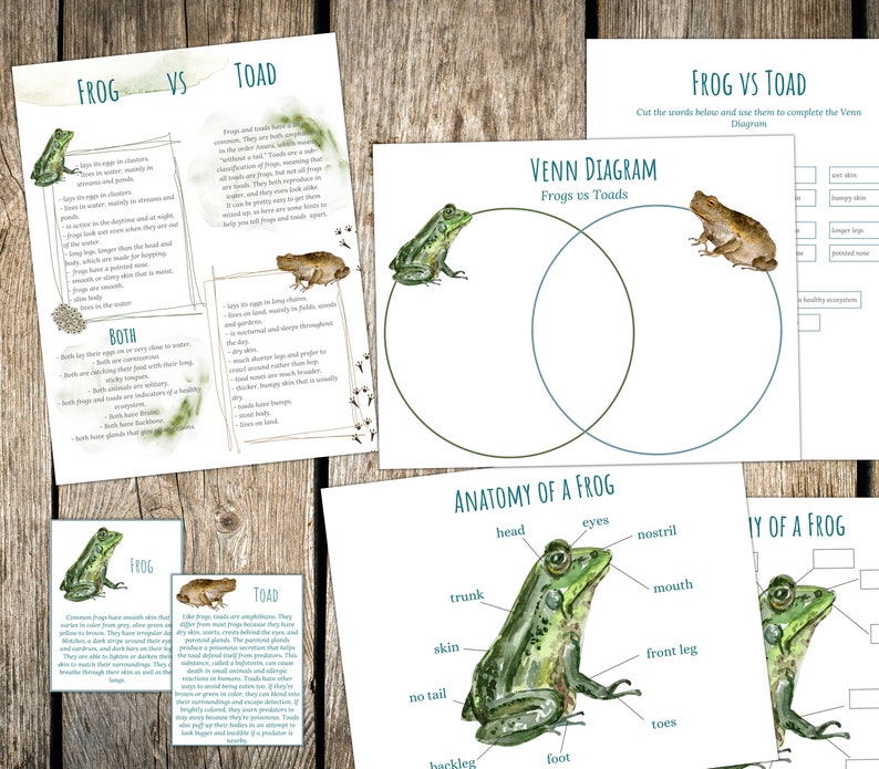 POND Unit Study Animals and Plants Unit Life Cycle Anatomy - Etsy