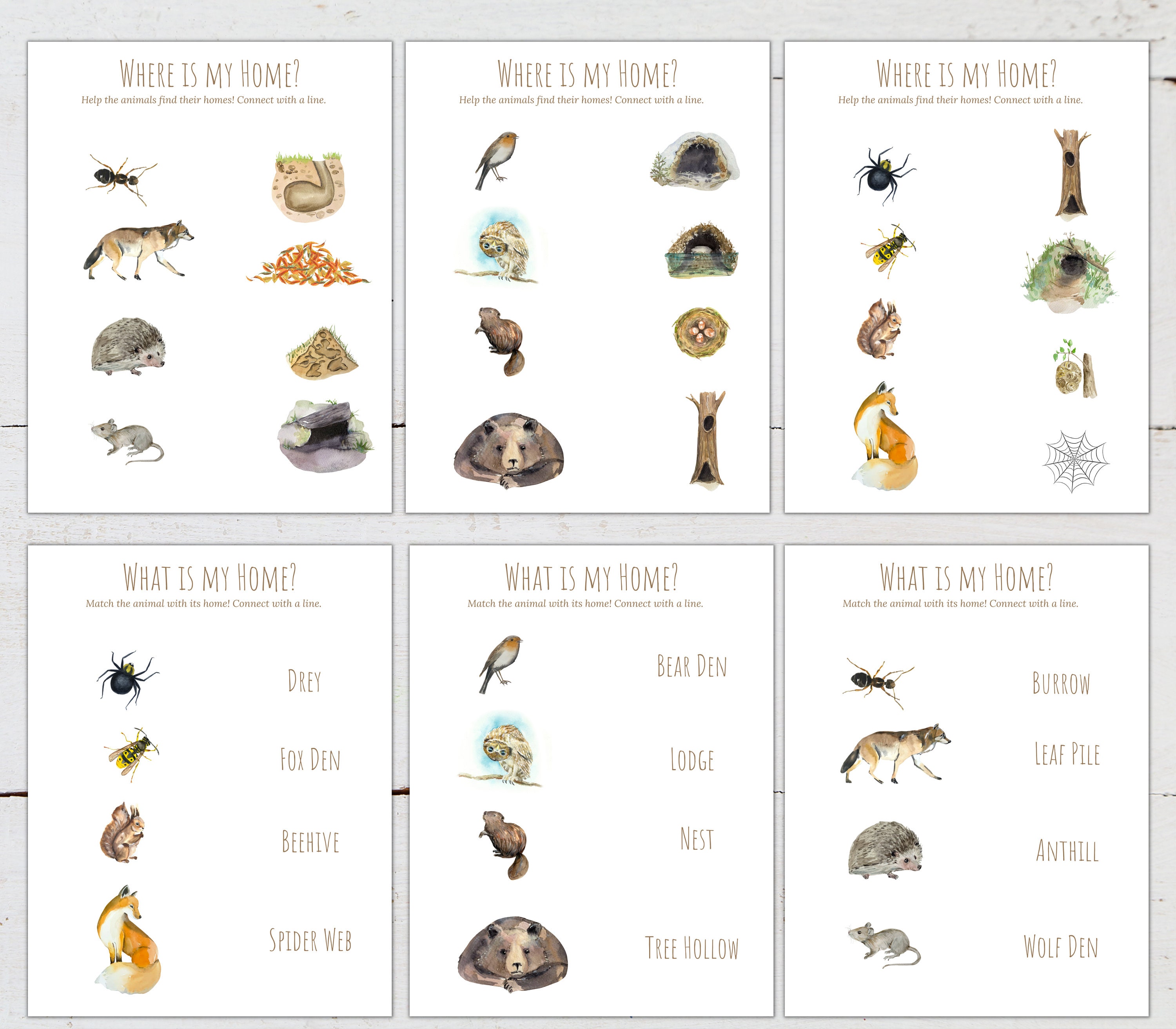 ANIMAL HOMES Unit Study, Nature Study, Science, Handwriting, Homeschool ...