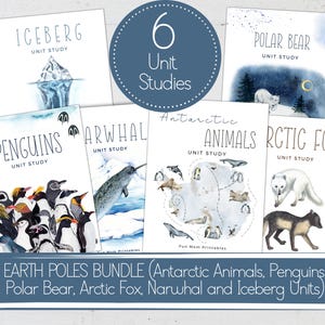 Earth Poles Unit Study Bundle: Antarctic Animals, Polar Bear (printable ...
