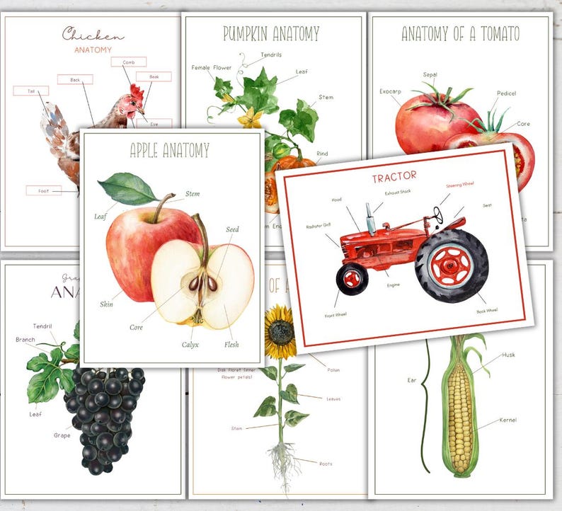 On the Farm Unit Study (digital Download) - Etsy