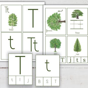 LETTER of the WEEK, T is for Tree, Letter T Activities, Alphabet ...