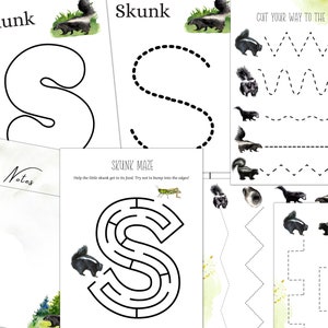 SKUNK Unit Study, Life Cycle, Anatomy, Nature Study, Science ...