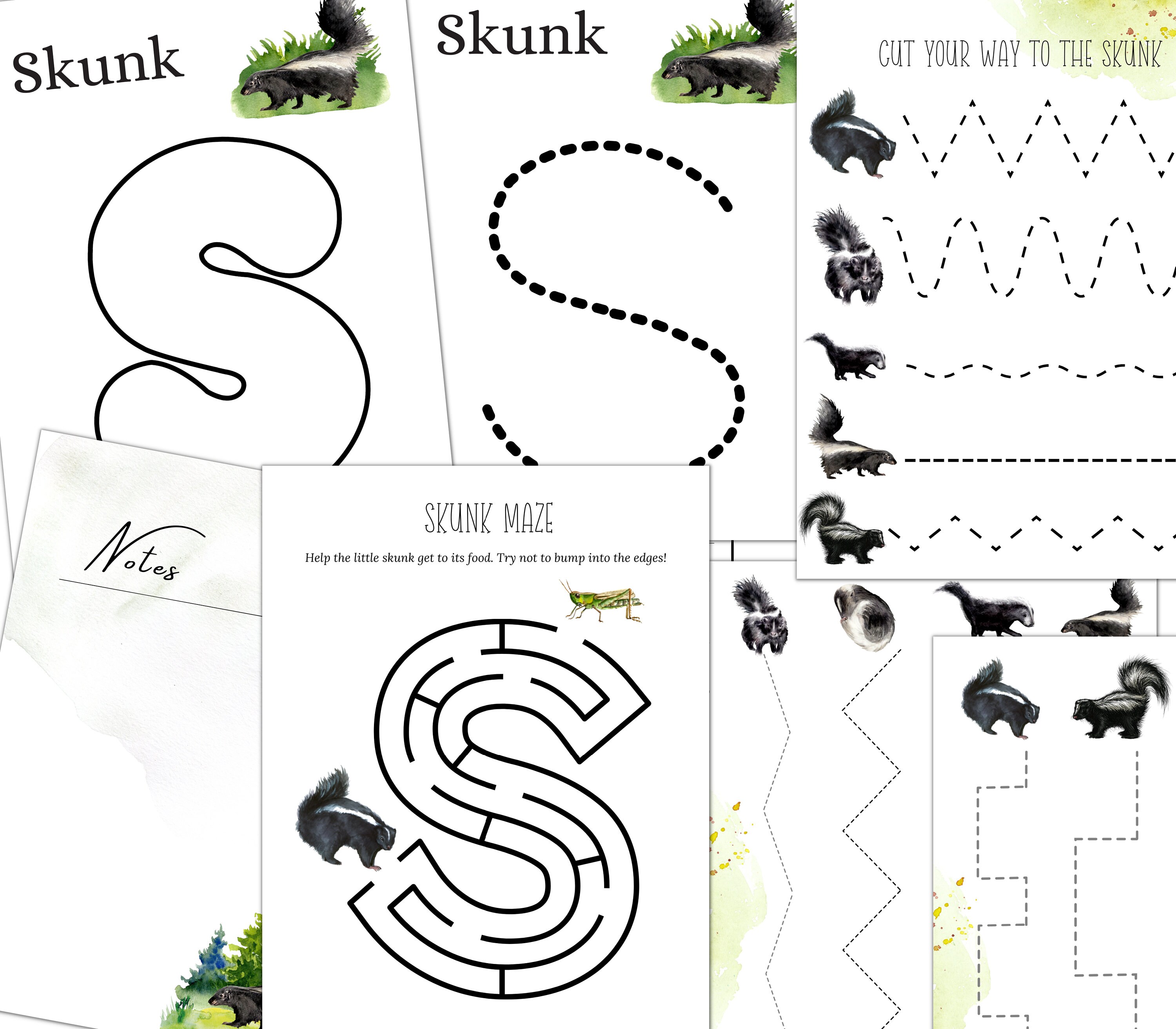 Skunk Unit Study: Life Cycle, Anatomy, Homeschool Printable (instant ...