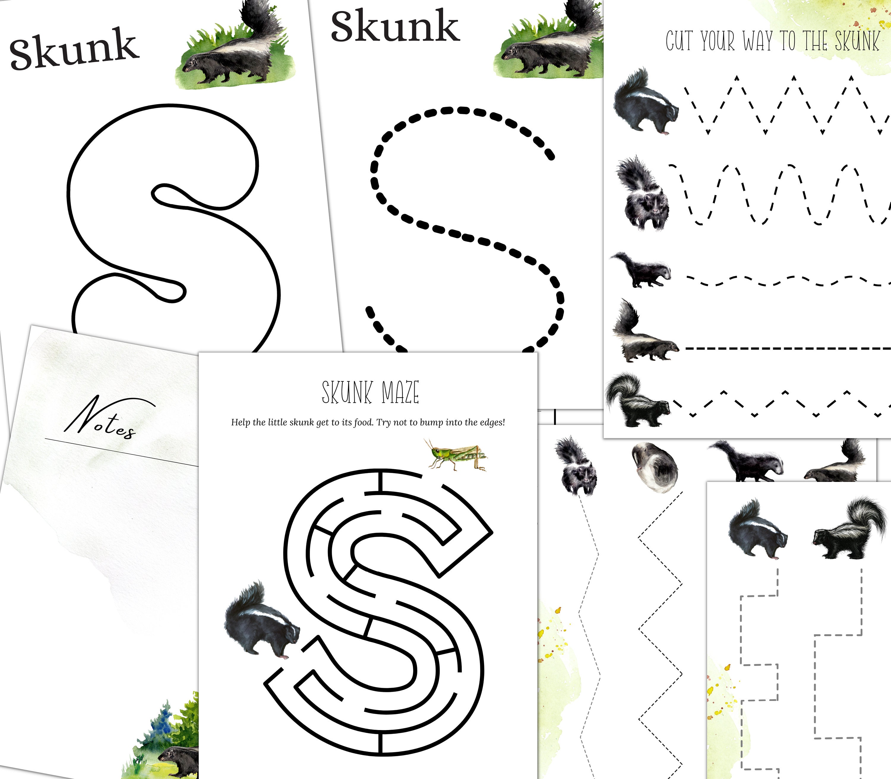 SKUNK Unit Study Life Cycle Anatomy Nature Study Science - Etsy UK