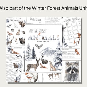 BADGER Anatomy, Poster and Labeling Activity, Homeschool, Instant ...