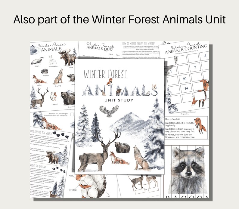 BADGER Anatomy Poster and Labeling Activity Homeschool - Etsy