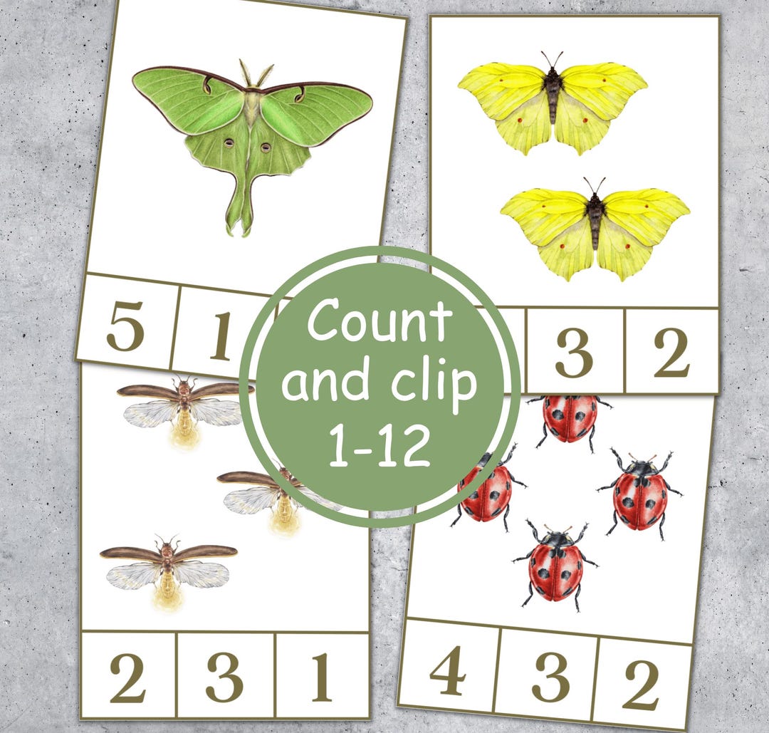 Minibeasts Count and Clip Cards, 1 to 12 Counting, Toddler Preschool ...