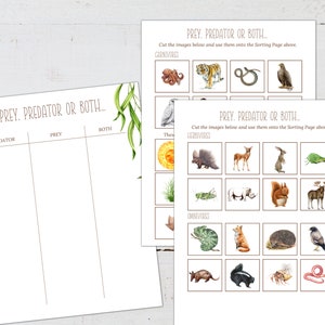 ANIMAL DEFENSES Unit Study, Anatomy, Nature Study, Science, Handwriting ...