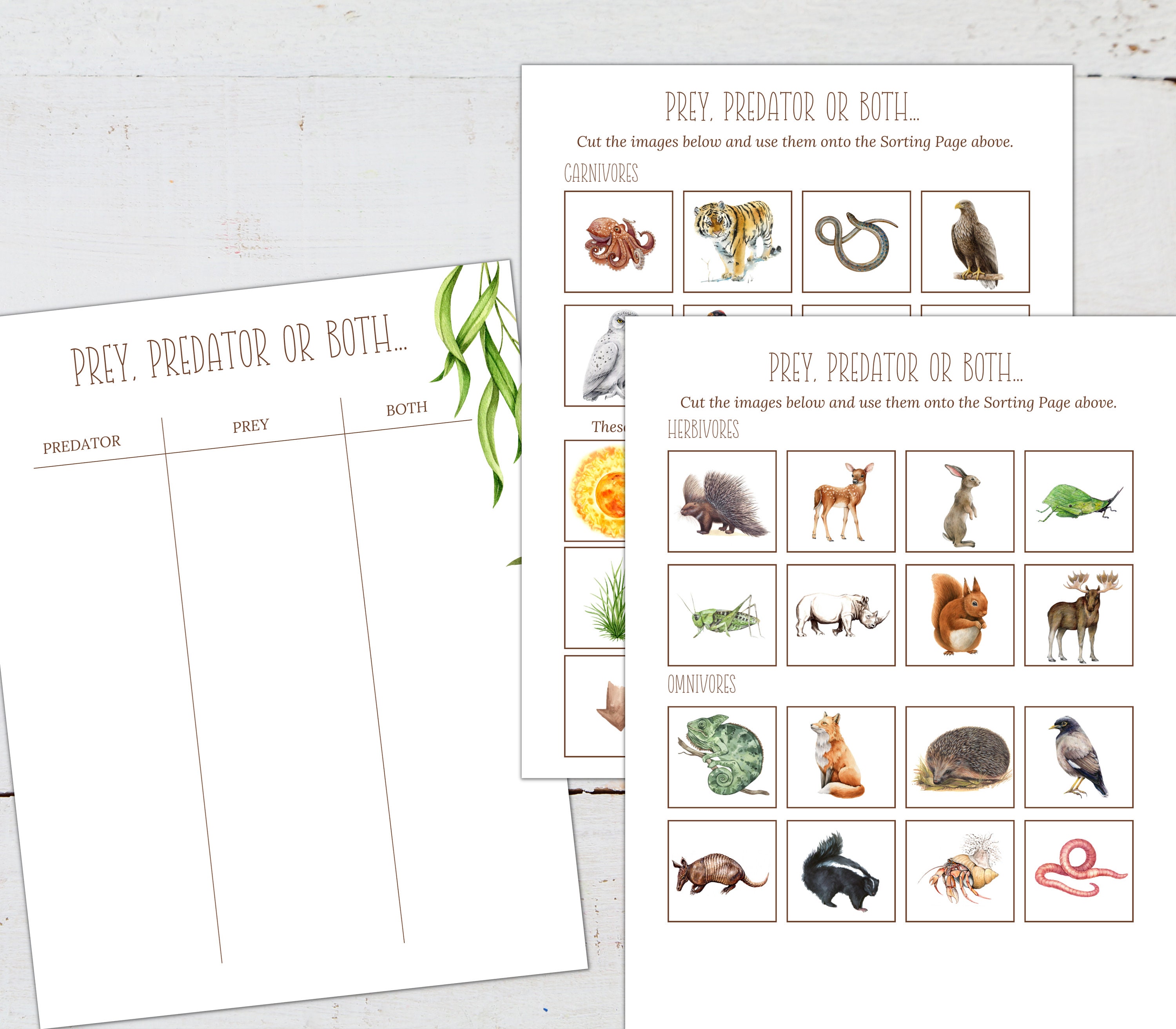 ANIMAL DEFENSES Unit Study, Anatomy, Nature Study, Science, Handwriting ...