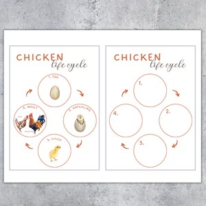 FARM ANIMALS Life Cycle Printable 5x7" Flashcards and Matching ...