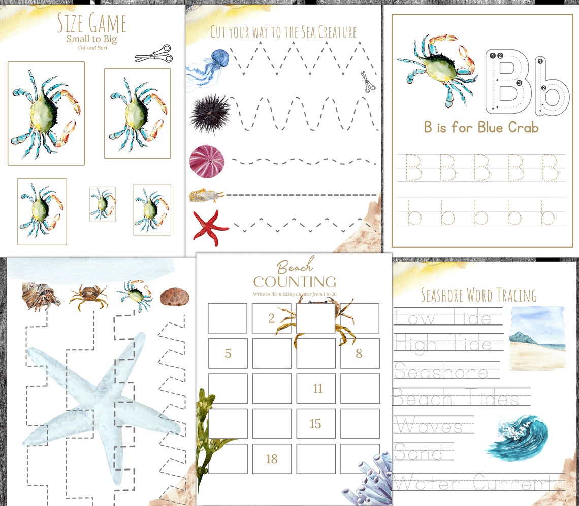 BEACH Unit Study Anatomy Nature Study Science Handwriting - Etsy