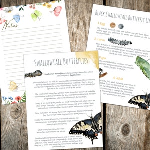 Swallowtail BUTTERFLY Unit Study, Life Cycle, Anatomy, Nature Study ...