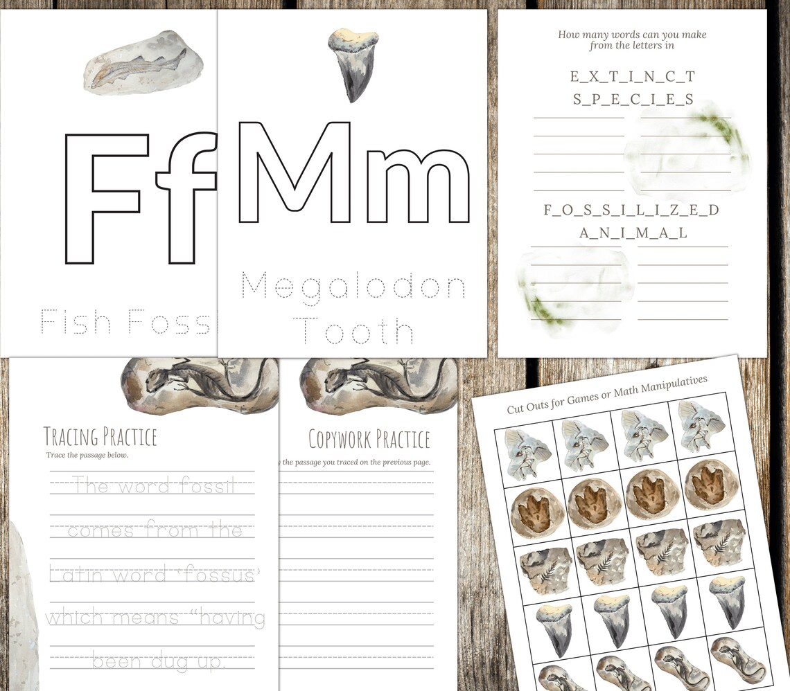 FOSSILS Unit Study Anatomy Nature Study Science - Etsy