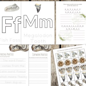 FOSSILS Unit Study, Anatomy, Nature Study, Science, Handwriting ...