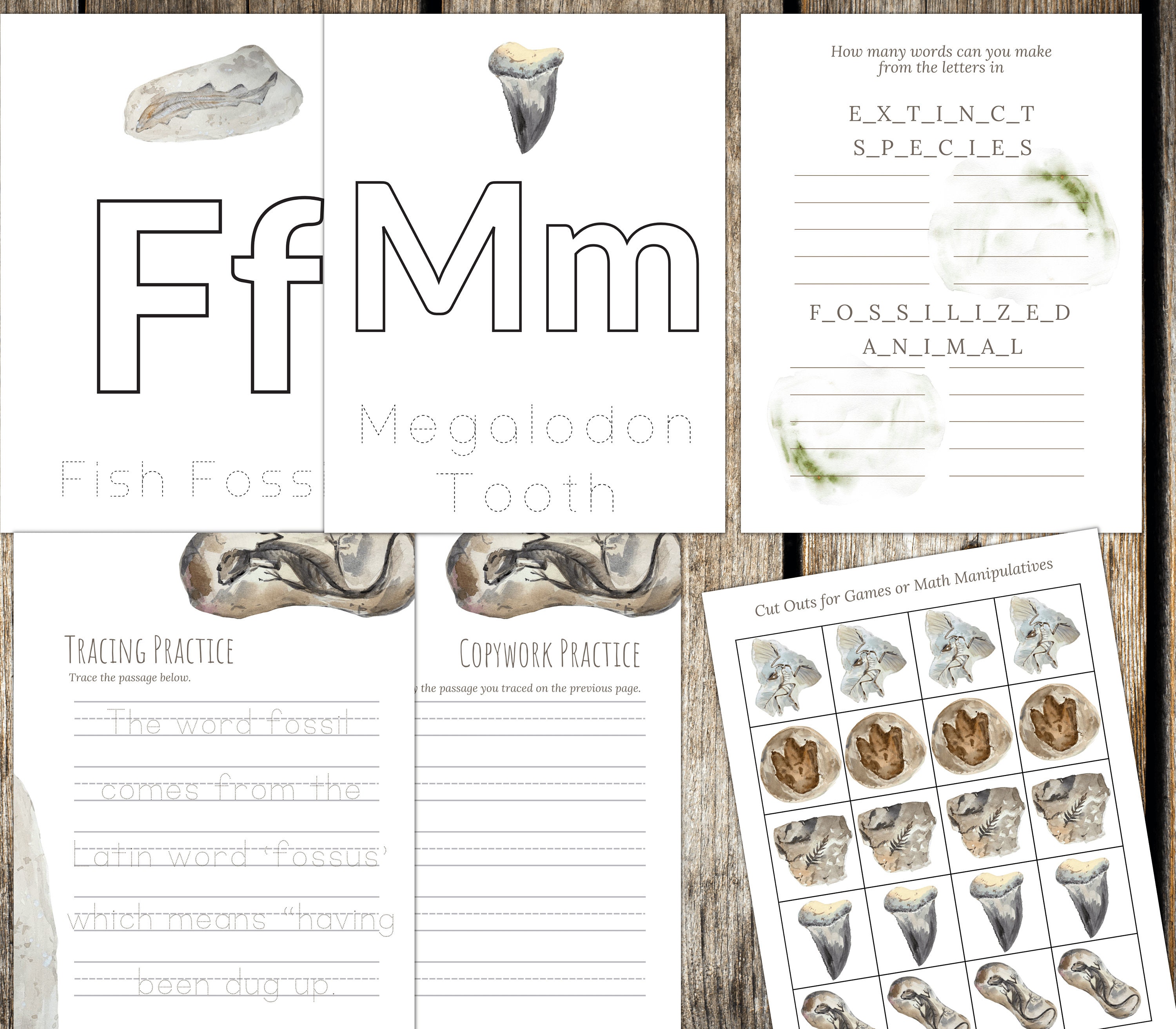 FOSSILS Unit Study Anatomy Nature Study Science - Etsy