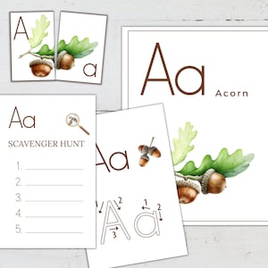 LETTER of the WEEK, A is for Acorn, Letter A Activities, Alphabet ...