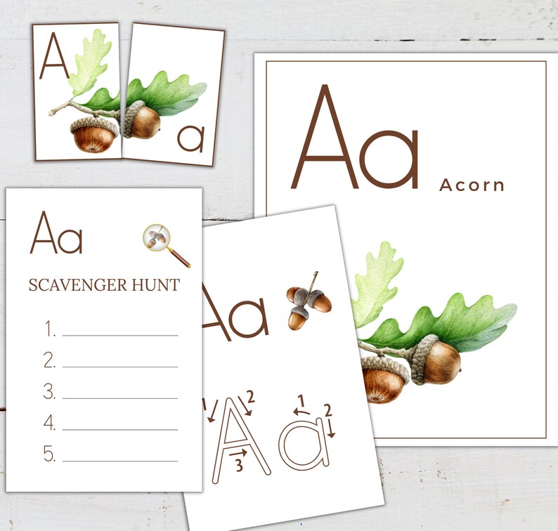 Letter A Acorn Learning Activities: Homeschool Printable (digital ...