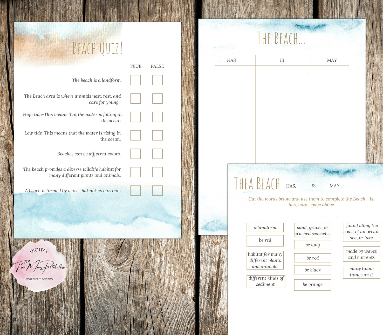 BEACH Unit Study Anatomy Nature Study Science Handwriting - Etsy