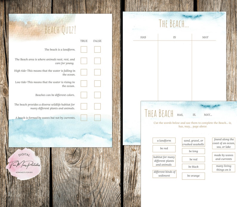 BEACH Unit Study Anatomy Nature Study Science Handwriting - Etsy