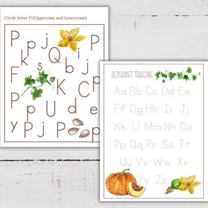 LETTER of the WEEK, P is for Pumpkin, Letter P Activities, Alphabet ...