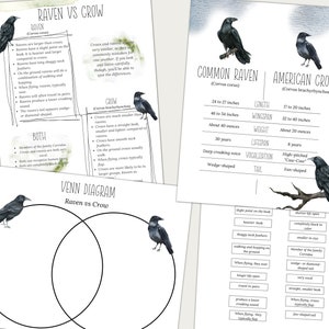 RAVEN Unit Study, Anatomy, Nature Study, Science, Handwriting ...