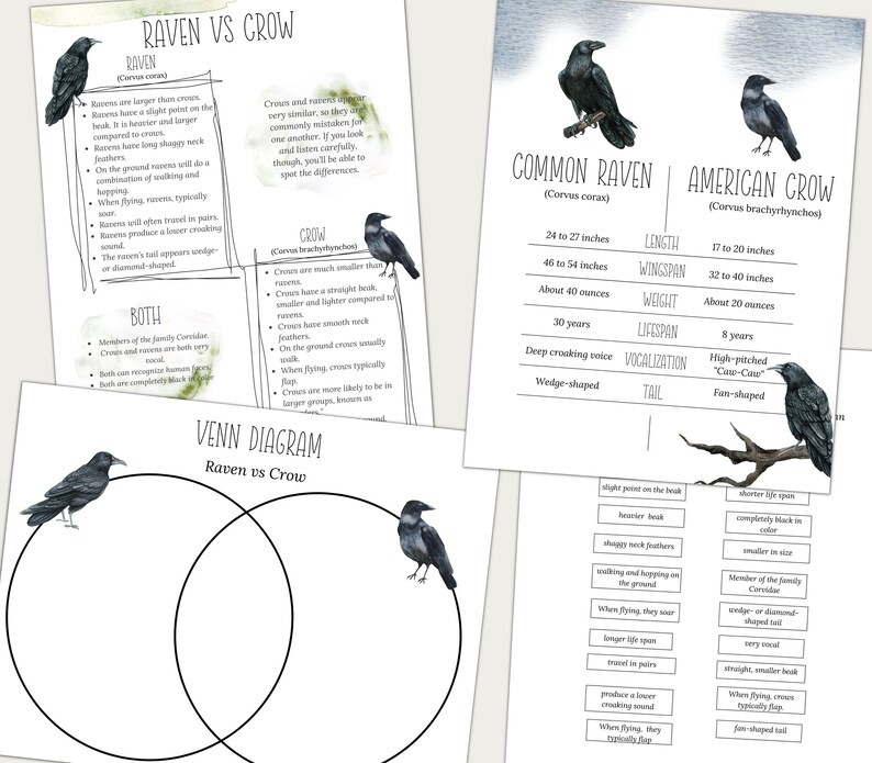 RAVEN Unit Study Anatomy Nature Study Science Handwriting - Etsy