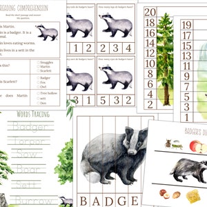 Badger Unit Study: Homeschool Science, Anatomy & Life Cycle (printable ...