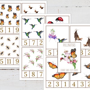 POLLINATORS Unit Study, Nature Study, Science, Handwriting, Homeschool ...