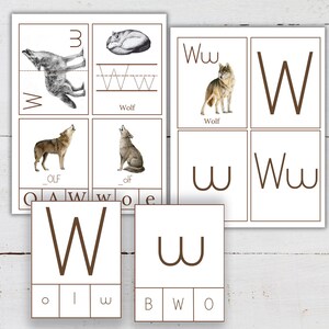 Letter W Wolf Learning Activities: Alphabet Printable (instant Download ...