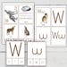 Letter W Wolf Learning Activities: Alphabet Printable (instant Download ...