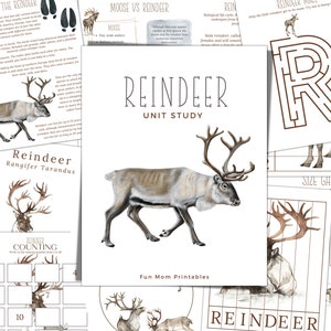 WINTER NATURE BUNDLE, Winter Forest Animals Unit, Winter Birds Unit ...