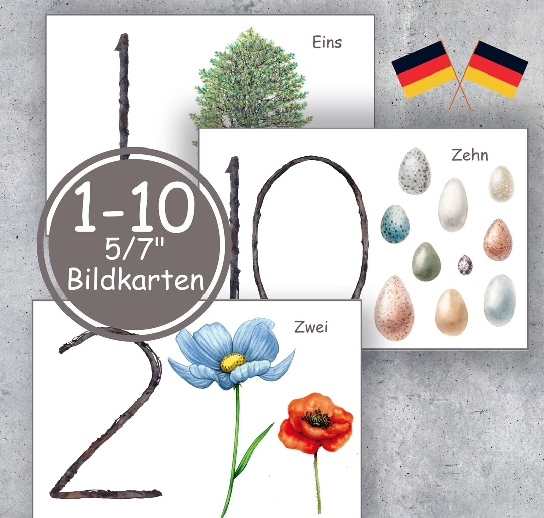 GERMAN NATURE Counting Flashcards, 1 to 10 Counting, Toddler Preschool ...