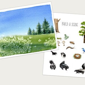 SKUNK Unit Study Life Cycle Anatomy Nature Study Science - Etsy