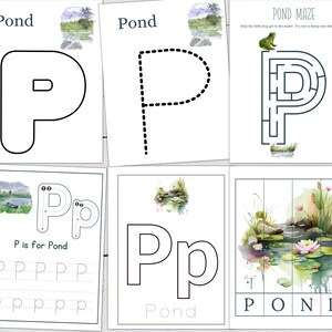 POND Unit Study, Animals and Plants Unit, Life Cycle, Anatomy, Nature ...