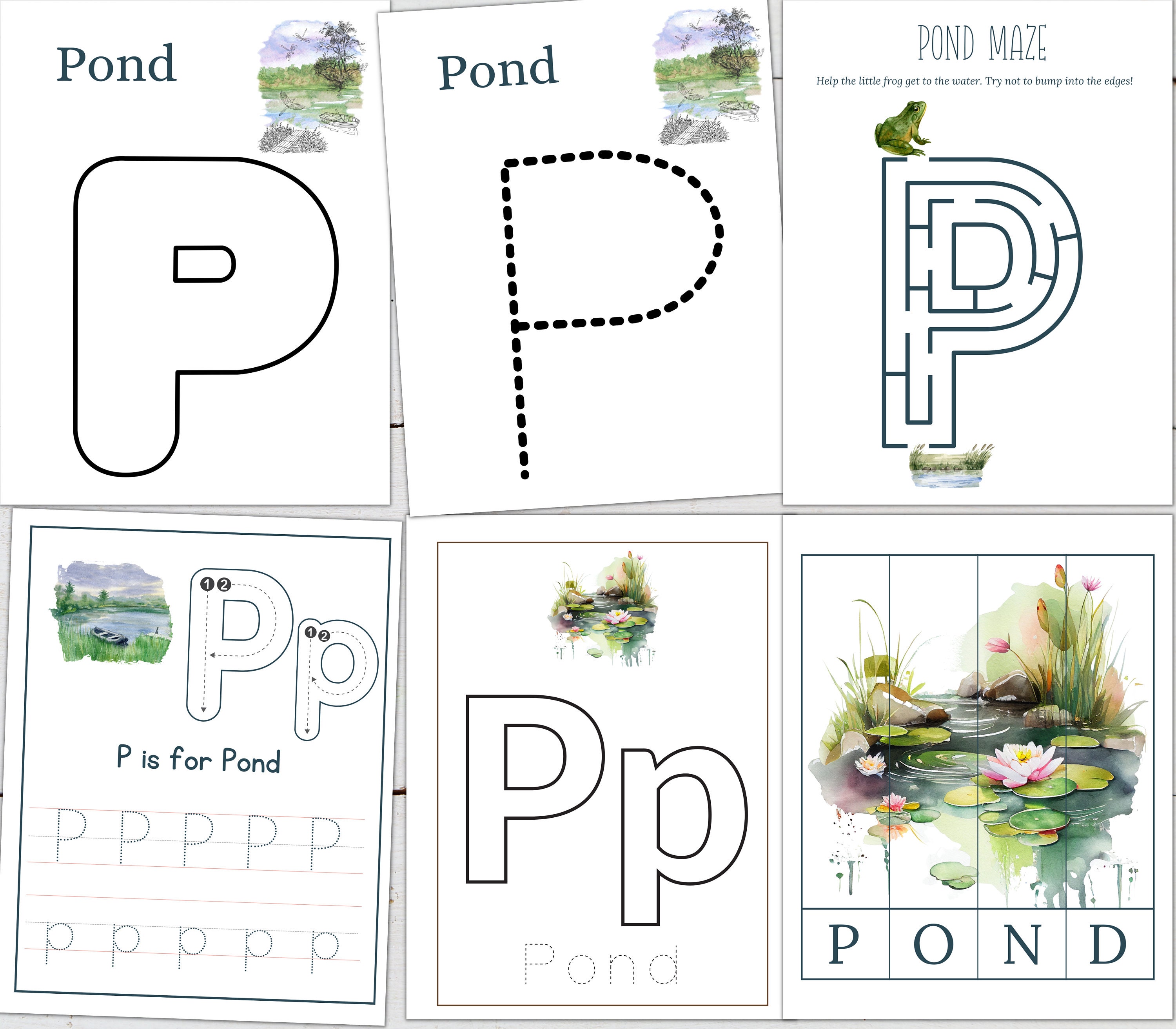 Pond Life Unit Study: Animals, Plants, Ecosystem (instant Download) - Etsy