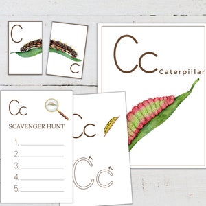 Letter C Caterpillar Activities: Alphabet Learning Printable (digital ...