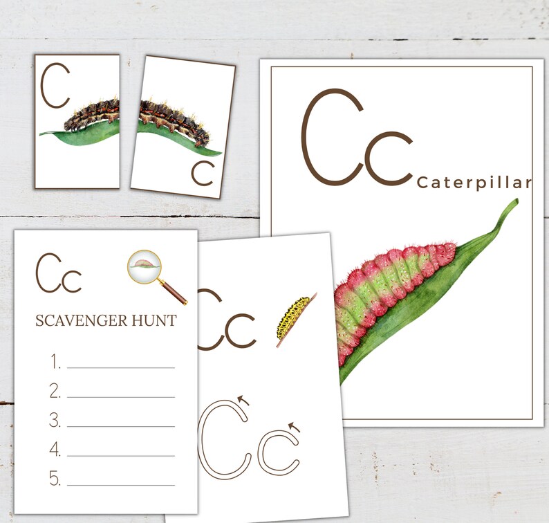 Letter C Caterpillar Activities: Alphabet Learning Printable (digital ...