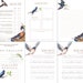 Swallow Unit Study: Homeschool Science, Anatomy & Life Cycle (instant ...