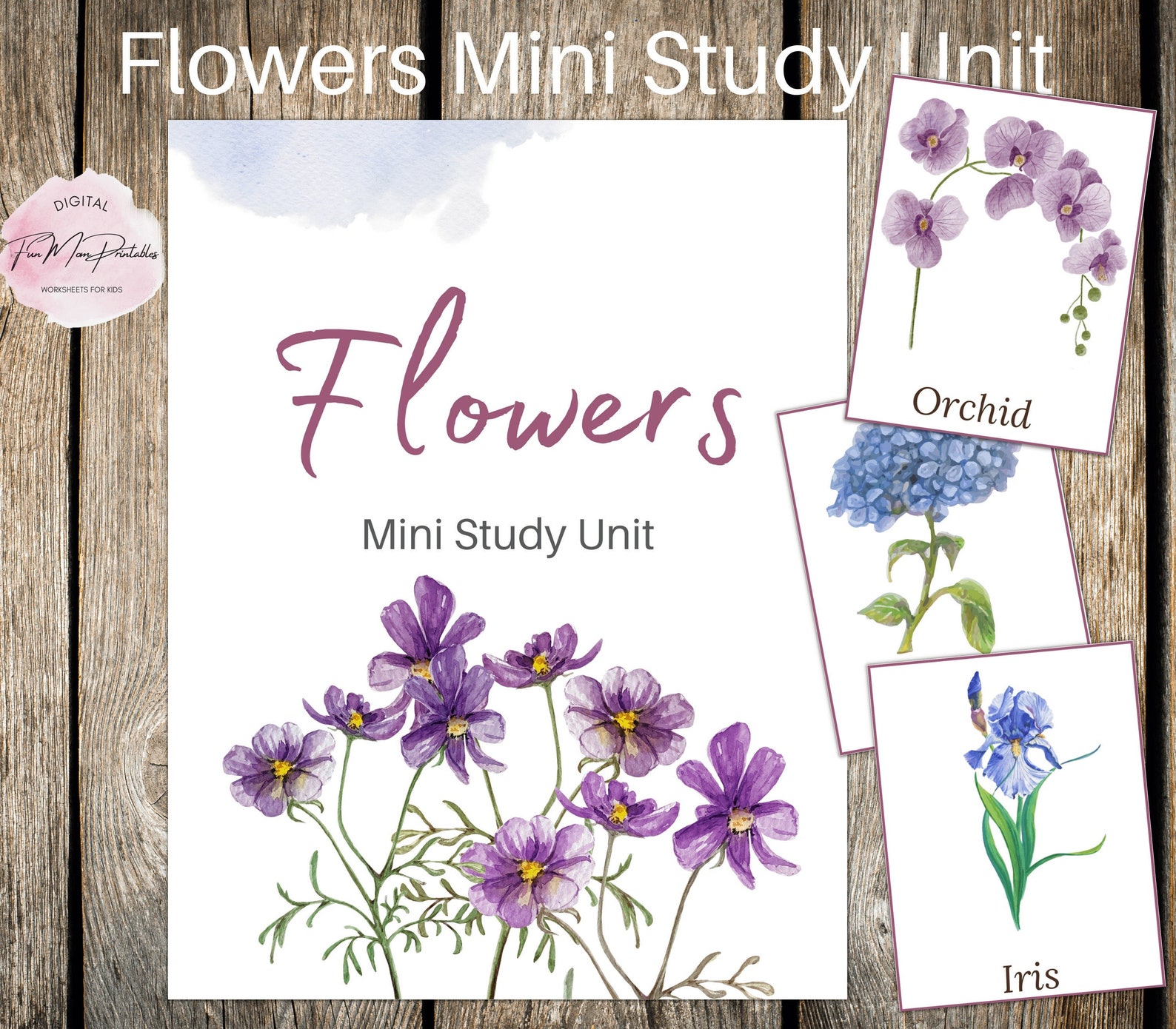 FLOWERS Mini Study Unit Life Cycle Anatomy Science - Etsy
