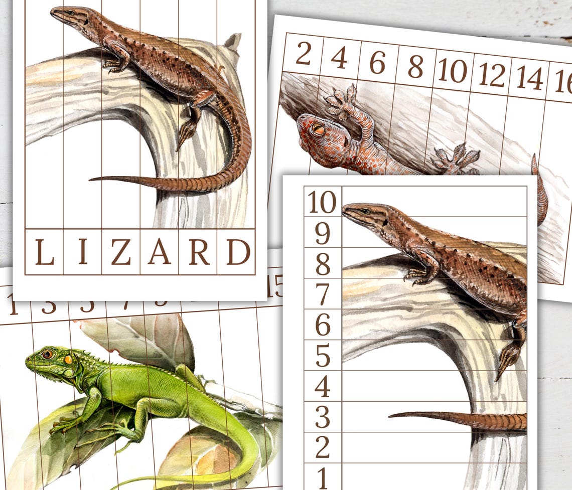 LIZARD Unit Study, Anatomy, Nature Study, Science, Handwriting ...